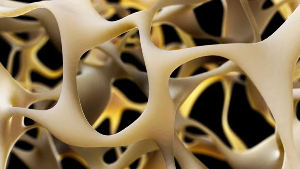 Scientists have studied remote work for four years and reached a clear ...